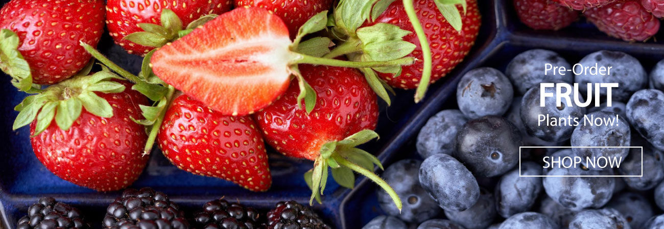 Urban Farmer | Seeds, Plants and Garden Supplies