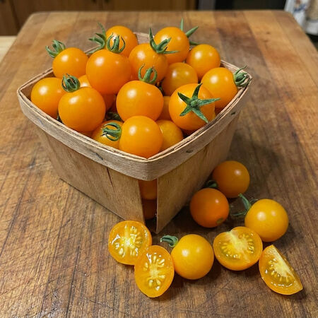 orange tomatoes small