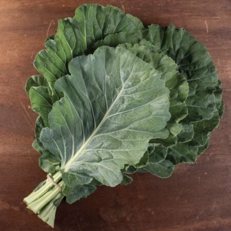 collard plants