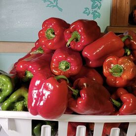 Pepper Seeds for Sale - Sweet & Hot | Urban Farmer