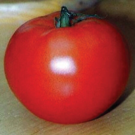 Jet Star, (F1) Tomato Seeds | Urban Farmer