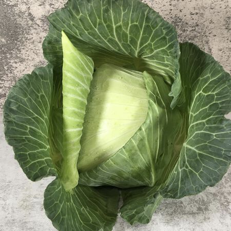 Big Flat Head, Cabbage Seeds | Urban Farmer