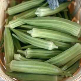 Okra Seeds - Organic | Urban Farmer