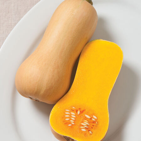 Butterscotch PMR, (F1) Squash Seeds | Urban Farmer