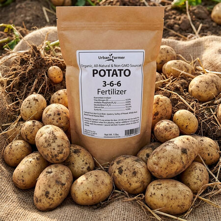 fertiliser potatoes