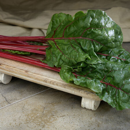 Fire Fresh, (F1) Swiss Chard Seeds | Urban Farmer