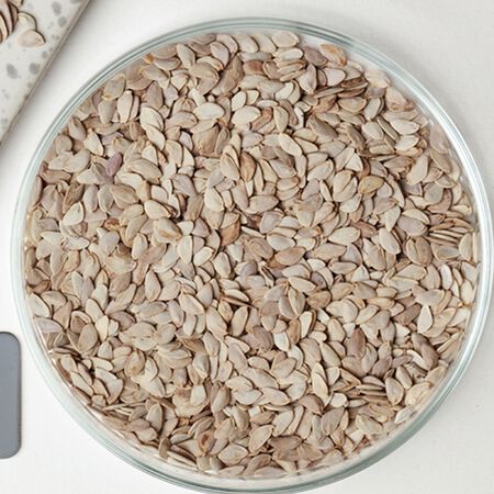 Dwarf Umbrella Tree, Schefflera Seed | Urban Farmer