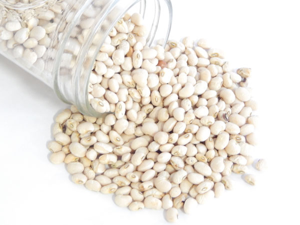 Texas Cream, Cowpea Seeds | Urban Farmer