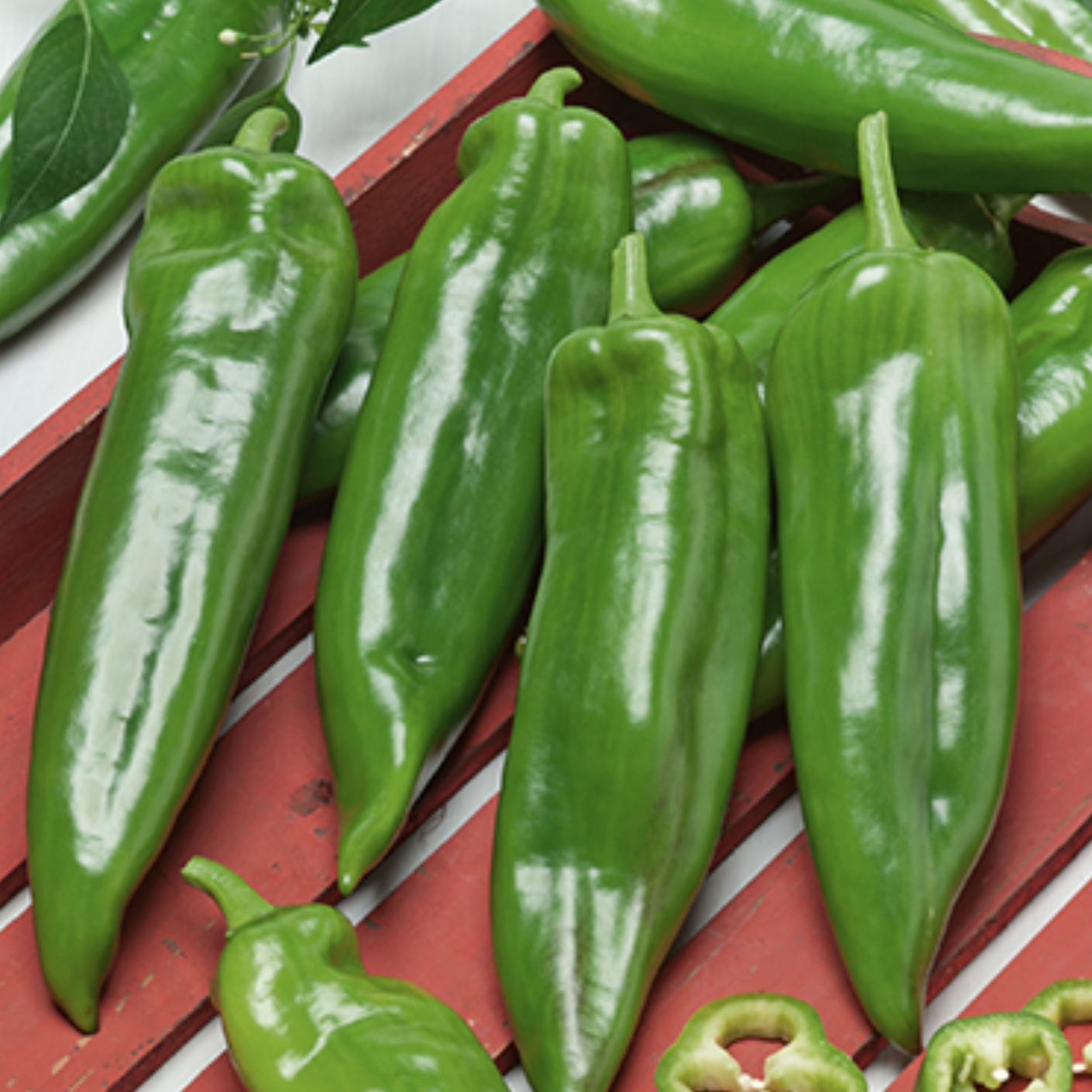 Anaheim Chili, Organic Pepper Seeds | Urban Farmer