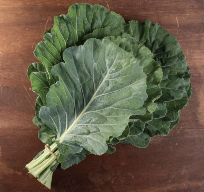 Top Bunch 2.0, (F1) Collard Seeds | Urban Farmer