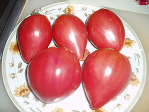 Pink Oxheart, Tomato Seeds | Urban Farmer
