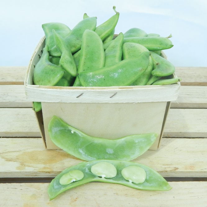 Fordhook 242, Bean Seeds | Urban Farmer