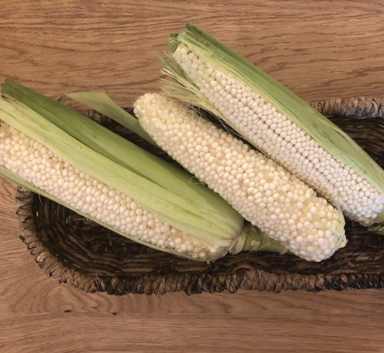 Country Gentleman, Corn Seed | Urban Farmer