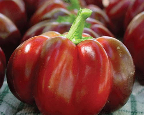 Pimento, Pepper Seeds | Urban Farmer