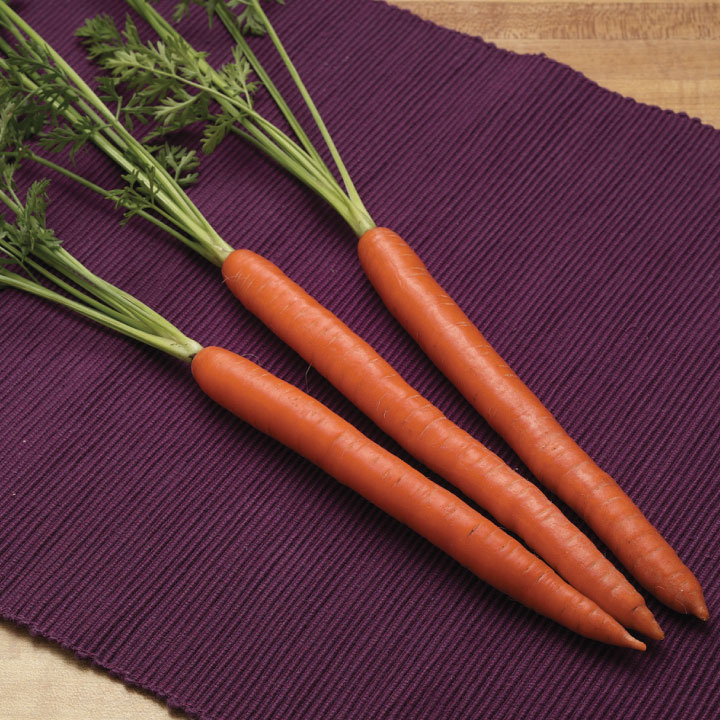 Triton, (F1) Carrot Seeds | Urban Farmer