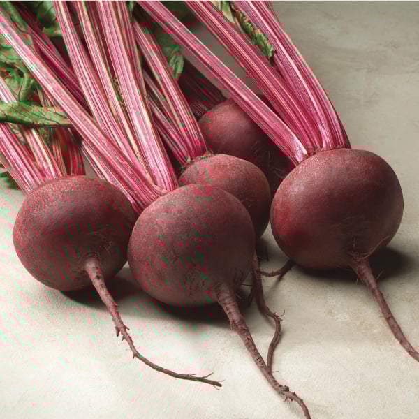 Red Ace, (F1) Beet Seeds | Urban Farmer
