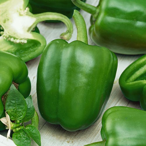 Emerald Giant, Organic Pepper Seeds | Urban Farmer