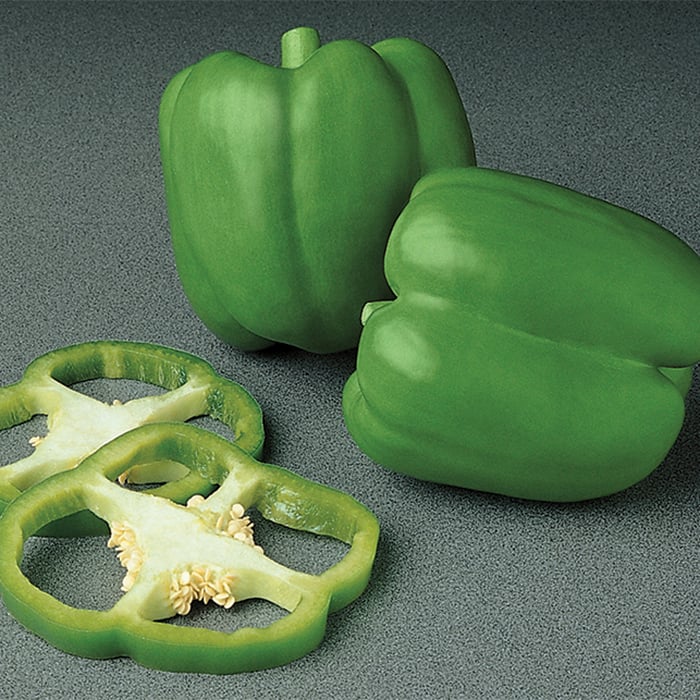 Encore, (F1) Pepper Seeds | Urban Farmer