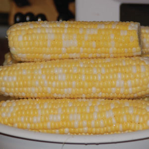 Butter and Sugar, (F1) Corn Seed | Urban Farmer