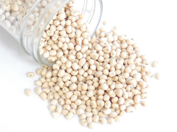 Lady, Cowpea Seeds | Urban Farmer