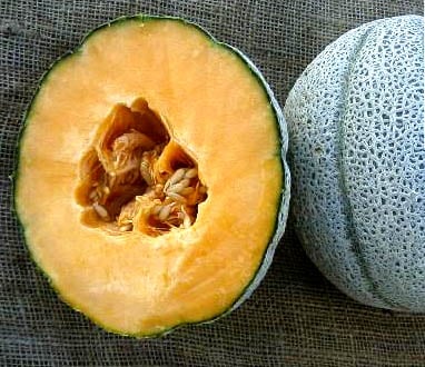 Hearts of Gold, Melon Seeds | Urban Farmer