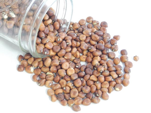Dimpled Brown Crowder, Cowpea Seeds | Urban Farmer