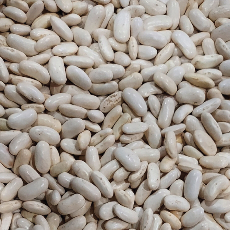 Whiskey Mountain, Bean Seeds | Urban Farmer