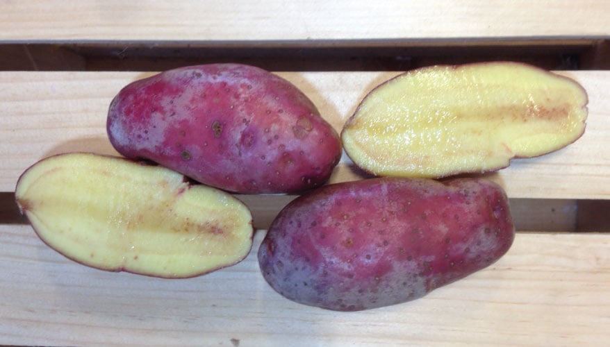 French Fingerling, Seed Potatoes | Urban Farmer