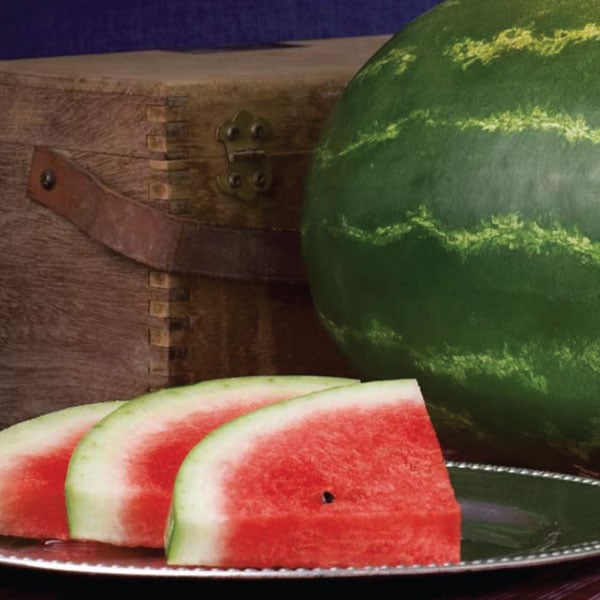 Estrella, (F1) Watermelon Seeds | Urban Farmer