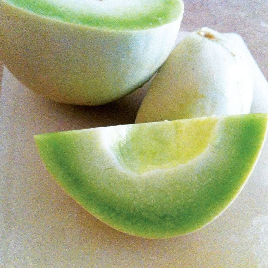 Dulce Nectar, (F1) Melon Seeds | Urban Farmer