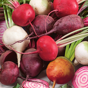 Rainbow Blend, Beet Seeds | Urban Farmer