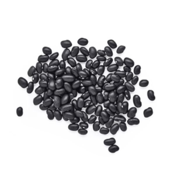 Oaxacan Black, Bean Seeds | Urban Farmer