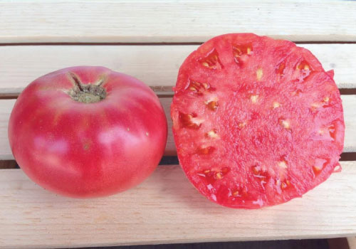 pink tomatoes