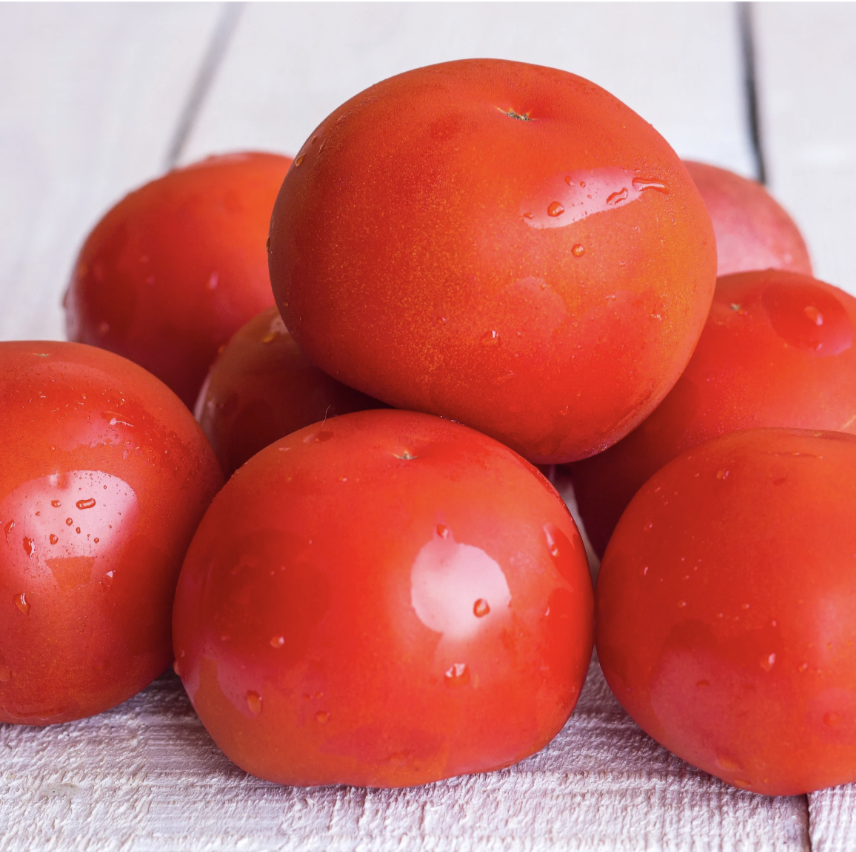 Bush Champion II, (F1) Tomato Seeds | Urban Farmer