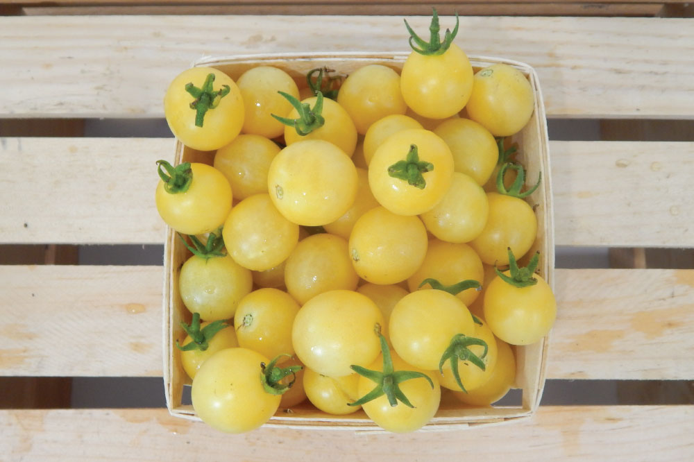 White Cherry Tomato
