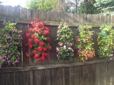 Hanging Grow Bags (5 Hole) - Containers | Urban Farmer