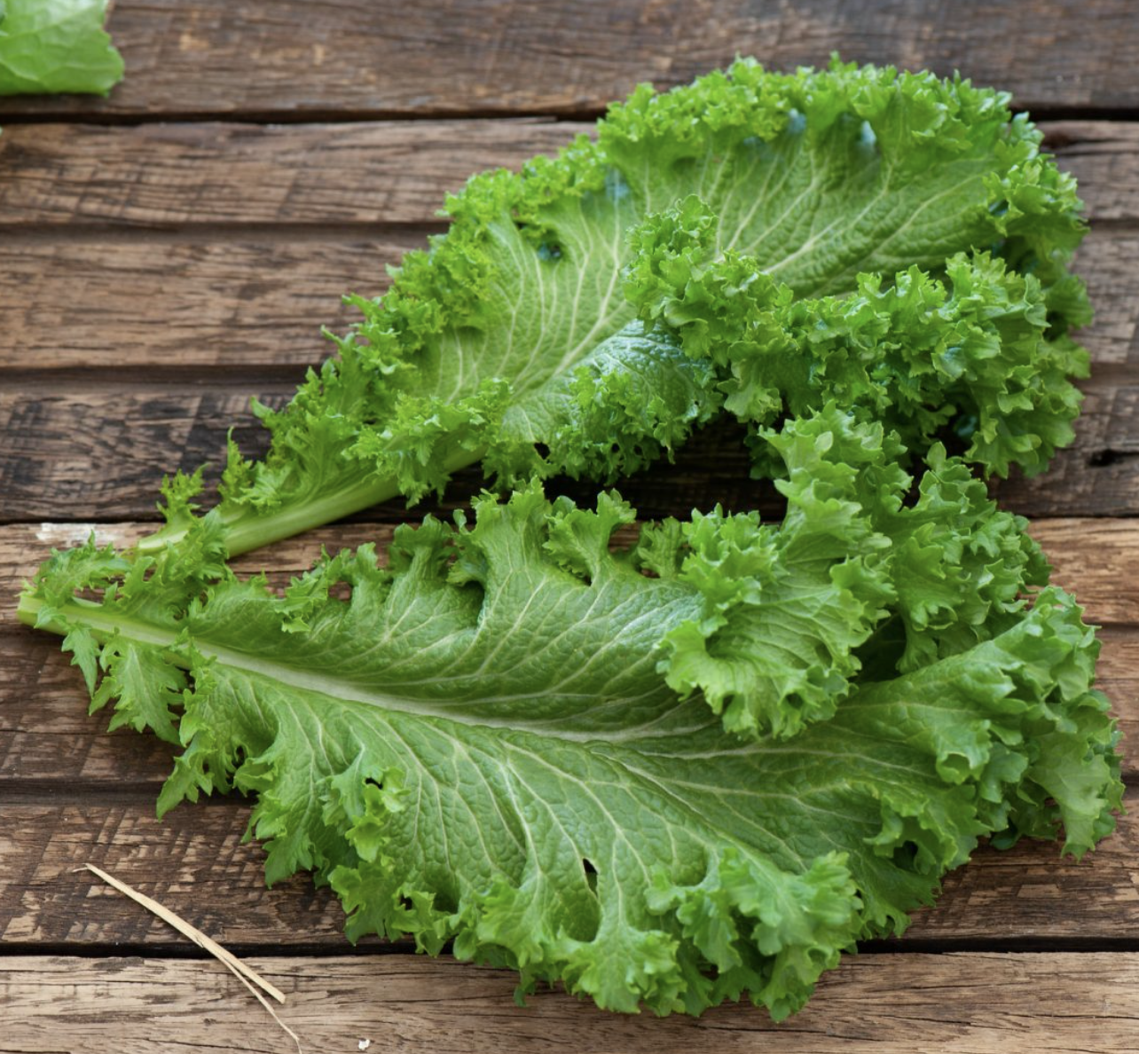 Old Fashioned Mustard Seeds, Greens | Urban Farmer