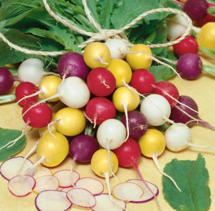 Crayon Colors Mix, Radish Seeds | Urban Farmer