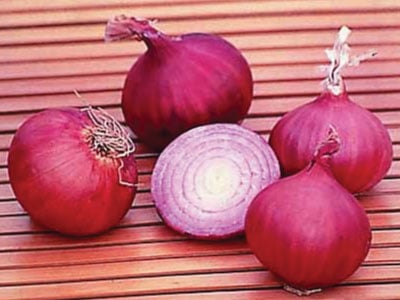 Red Creole, Onion Seeds | Urban Farmer