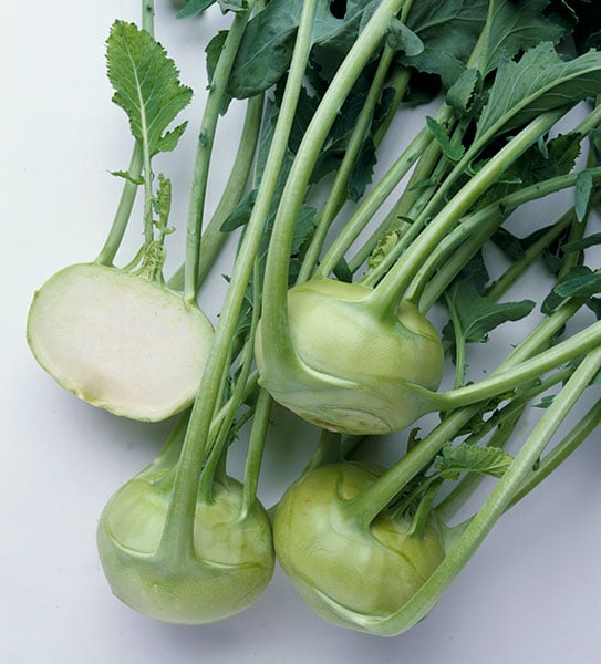 Winner, (F1) Kohlrabi Seeds | Urban Farmer