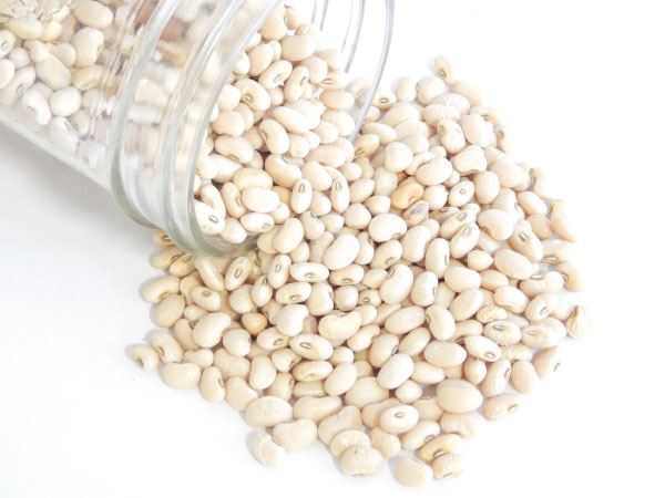 Elite, Cowpea Seeds | Urban Farmer