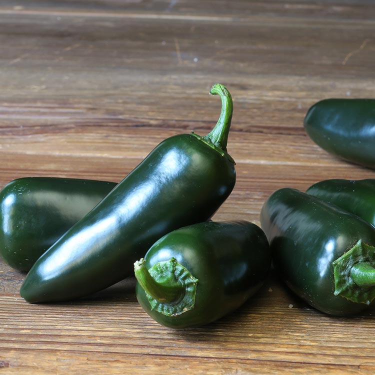 Black Magic, (F1) Organic Pepper Seeds | Urban Farmer