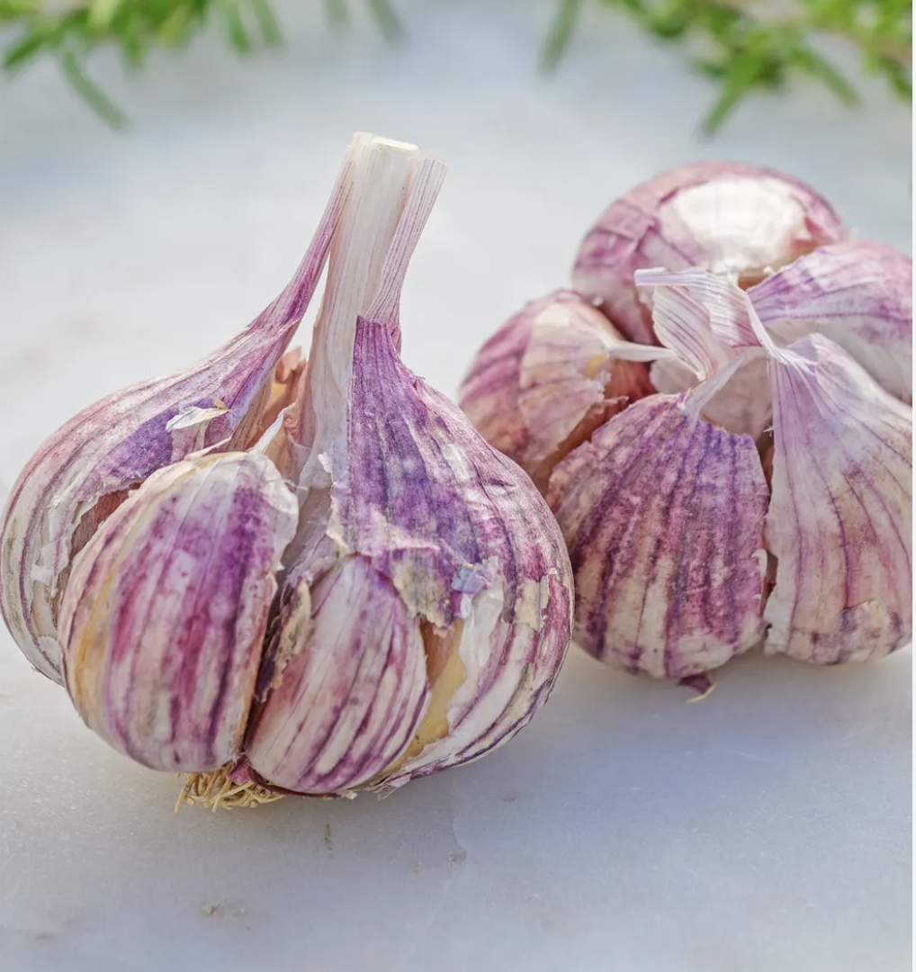 Thai Fire, Garlic Bulbs | Urban Farmer