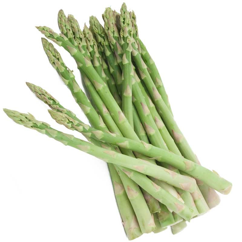 Apollo, (F1) Asparagus Seeds | Urban Farmer