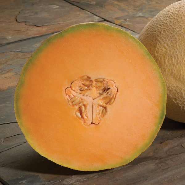 Atlantis, (F1) Melon Seeds | Urban Farmer