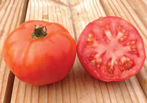 Marglobe Supreme, Tomato Seeds | Urban Farmer