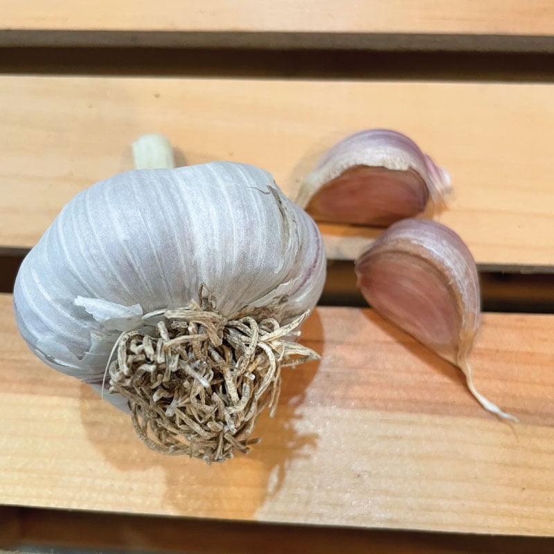 Creme de la Rasa, Garlic Bulb | Urban Farmer