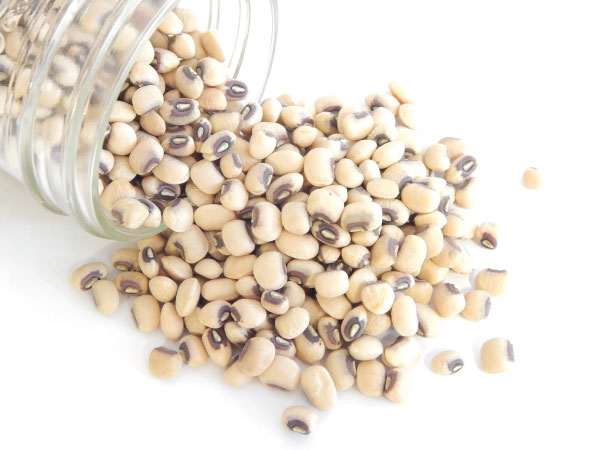 Quickpick Pinkeye, Cowpea Seeds | Urban Farmer