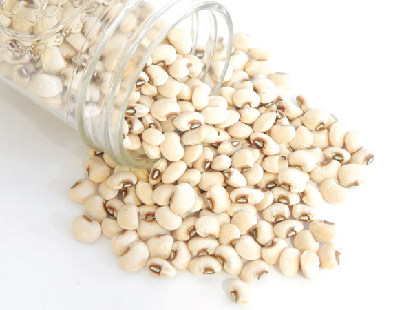 Big Boy Purplehull, Cowpea Seeds | Urban Farmer